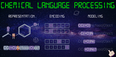 A hitchhiker's guide to deep chemical language processing for ...