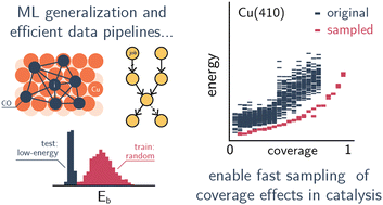 Comprehensive sampling of coverage effects in catalysis by leveraging generalization in neural ...