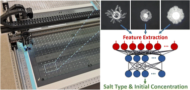 High-throughput robotic collection, imaging, and machine learning ...