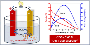 Designing one-compartment H2O2 fuel cell using electroactive phenalenyl ...