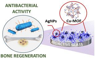 A new MOF@bioactive glass composite reinforced with silver ...