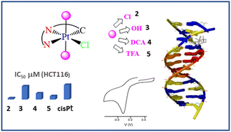 Exploring the effect of the axial ligands on the anticancer activity of ...