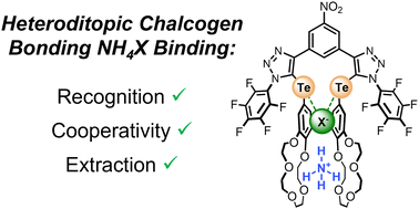 Ammonium halide selective ion pair recognition and extraction with a ...