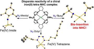 Disparate reactivity of a chiral iron(ii) tetracarbene complex with ...