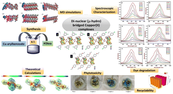 Synthesis, structural characterization, DFT and molecular dynamics ...