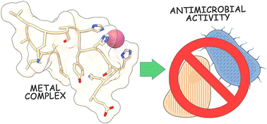 Metal coordination governs the antimicrobial efficacy of calcitermin ...