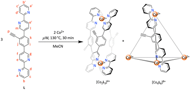 Self-assembled Co(ii) and Co(iii) [M2L3] helicates and [M4L6 ...