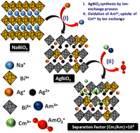 A highly efficient in situ redox stabilization strategy for Am–Cm ...