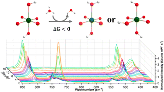 Probing the protonation and reduction of heptavalent neptunium with ...