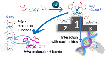 A combined solid state, solution and DFT study of a dimethyl-cyclen-Pd ...