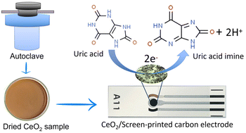 A grain-like cerium oxide nanostructure: synthesis and uric acid ...