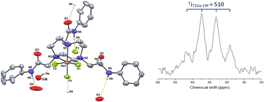 Synthesis and properties of metal trifluoride complexes with amide ...