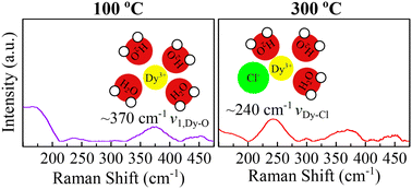 In situ Raman investigation of Dy complexation in Cl-bearing aqueous ...