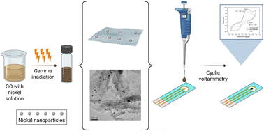 Dose-dependent gamma irradiation effects on Ni nanoparticle size in rGO ...