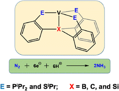 Unravelling the potential of low-valent tunable vanadium complexes in ...