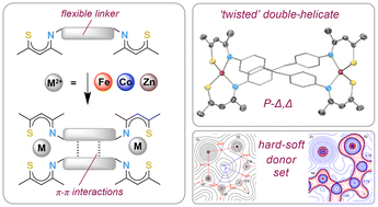 Helical dinuclear 3d metal complexes with bis(bidentate) [S,N] ligands ...