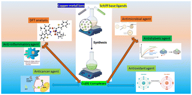 Unveiling the multifaceted bioactivity of copper(ii)–Schiff base ...