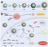 Alleviating hypoxia by integrating MnO2 with metal–organic frameworks ...