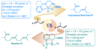 Achieving isopropenyl-enriched polyisoprene: unraveling the role of ...