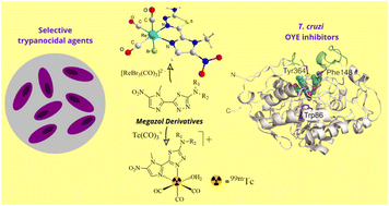 Rhenium(i) and technetium(i) complexes with megazol derivatives ...