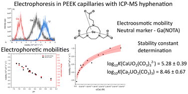 Study of CanUO2(CO3)3(4−2n)− complexes using CE-ICP-MS with polyetheretherketone (PEEK ...