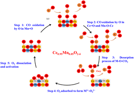 Investigating the differences of active oxygen species and carbonate ...