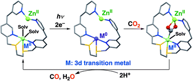 Photocatalytic CO2 reduction catalysed by 3d transition metal complexes ...