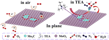 Synthesis of in-plane Mo2C/MoO3 heterostructures by a novel spatial ...