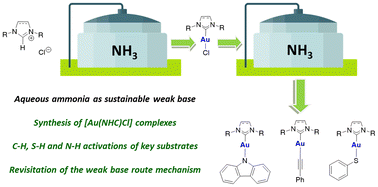 Simple synthesis of [Au(NHC)X] complexes utilizing aqueous ammonia ...