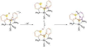 Evidence of boride–borylene ligand-tautomerism leading to a remote C–C ...
