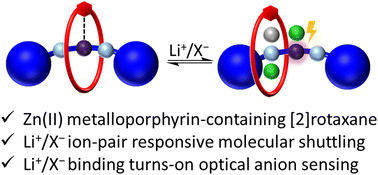 Selective lithium halide ion-pair sensing by a dynamic metalloporphyrin ...