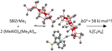 A cooperative model for metallocene catalyst activation by ...