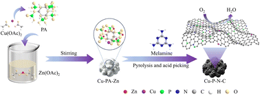 Cu- and P-co-doped nitrogen-doped hierarchical carbon for enhanced oxygen reduction reaction in ...