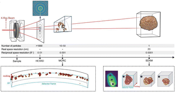 An emerging frontier of battery innovation: tackling lattice rotation ...