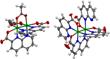 Paddlewheel-type and half-paddlewheel-type diruthenium(ii,ii) complexes ...