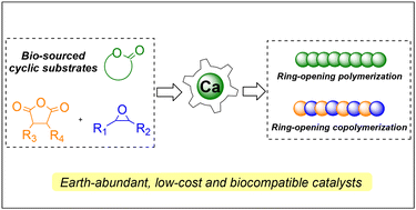 Recent progress in calcium-catalyzed polyester synthesis - Dalton ...
