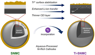 Ti-induced surface stabilization for enhanced capacity of aqueous-processed Ni-rich cathodes ...
