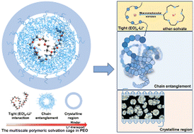 The deconstruction of a polymeric solvation cage: a critical promotion ...