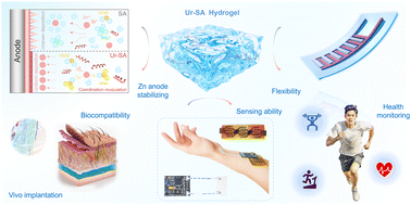 Biocompatible and stable quasi-solid-state zinc-ion batteries for real ...