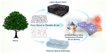 Wood-derived Fe cluster-reinforced asymmetric single-atom catalysts and ...