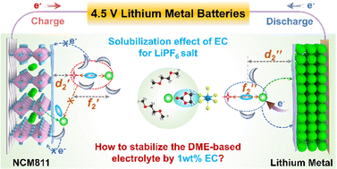 Trace ethylene carbonate-mediated low-concentration ether-based ...