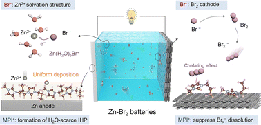 Fully exploited imidazolium bromide for simultaneous resolution of ...