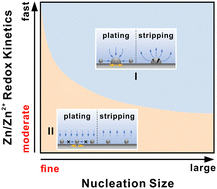 A homogeneous plating/stripping mode with fine grains for highly ...
