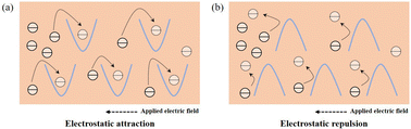 Electrostatic interaction bridges the charge transport kinetics and ...