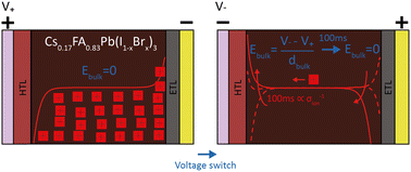 Probing ionic conductivity and electric field screening in perovskite ...