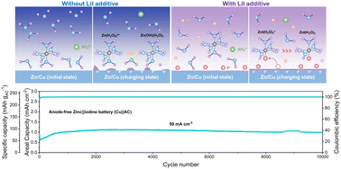 Identifying iodide-ion regulation of early-stage zinc nucleation and ...