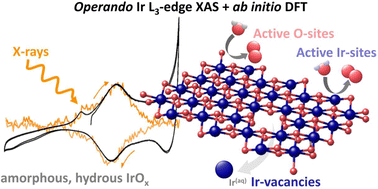 Unravelling the mechanistic complexity of the oxygen evolution reaction ...