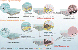 Hydrogel electrolytes with an electron/ion dual regulation mechanism ...