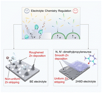 Reinforcing the symmetry of stripping/plating behavior via in situ ...