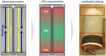 Electrolyte motion induced salt inhomogeneity – a novel aging mechanism ...